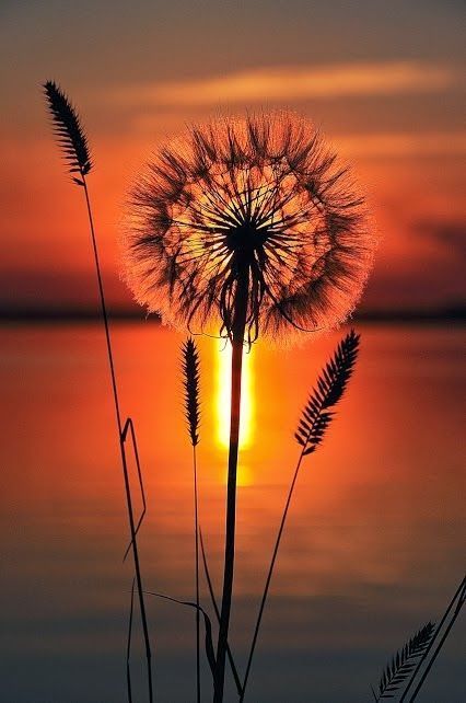 Why Jesus Was So Unrecognizable – Dan Mohler – The Lord Is With Us